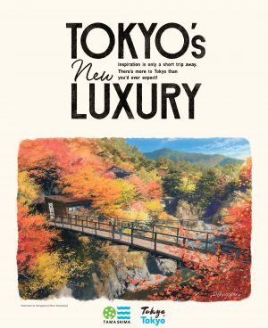 Find brochures for travel Tokyo – TOKYO Brochures