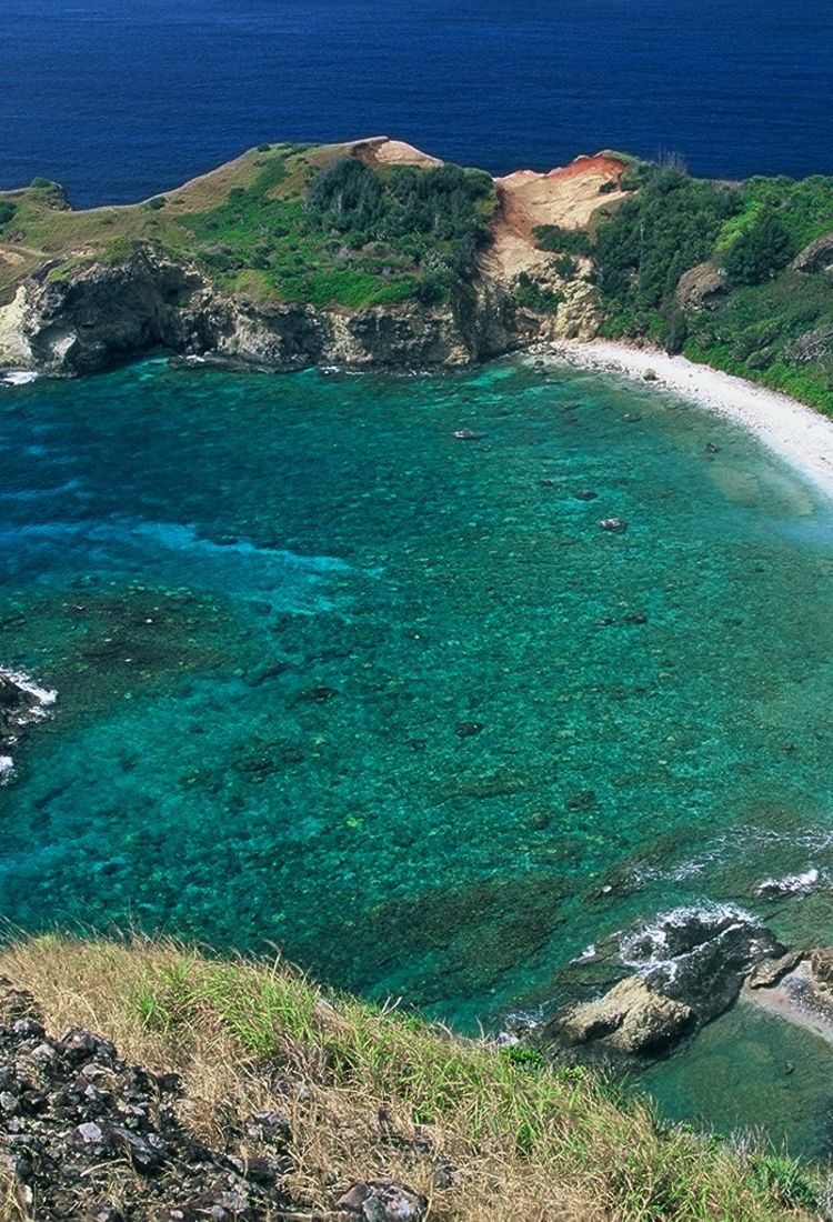 Hahajima Island (Ogasawara Islands) | The Official Tokyo Travel Guide ...