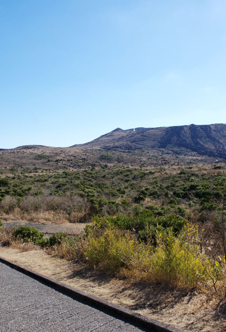 Oshima Island | The Official Tokyo Travel Guide, GO TOKYO