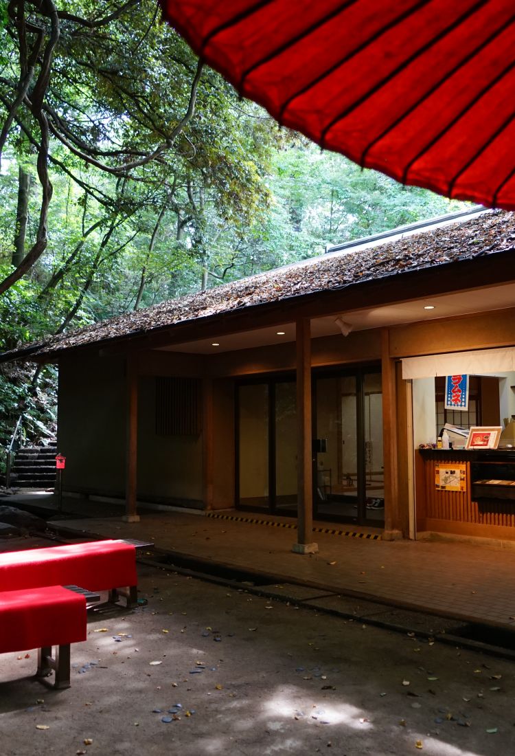 Todoroki Valley | The Official Tokyo Travel Guide, GO TOKYO