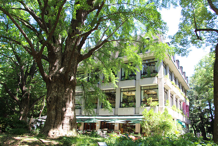 Open-Terrace Cafes | The Official Tokyo Travel Guide, GO TOKYO