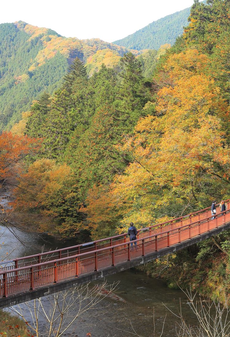 Explore around Akigawa Valley | The Official Tokyo Travel Guide, GO TOKYO