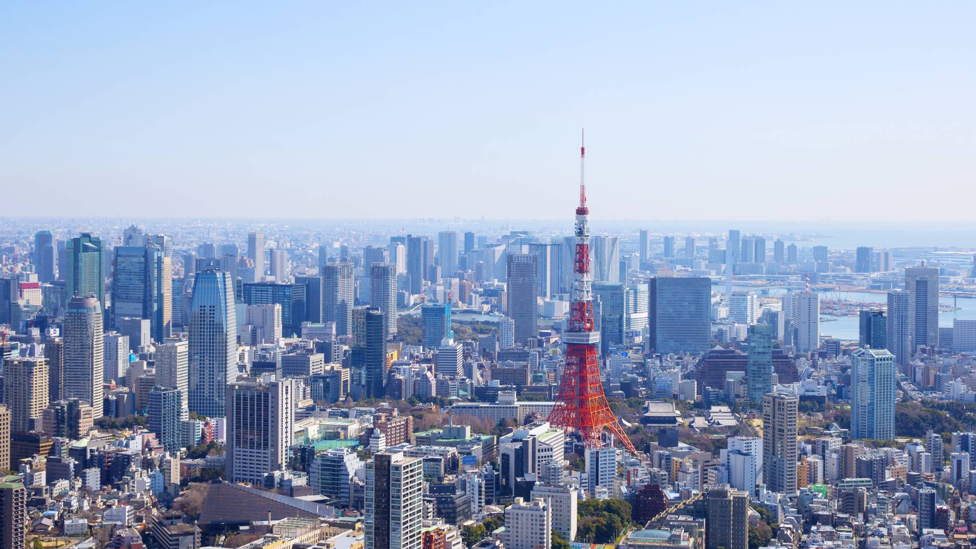 Gu a Del rea De La Tokyo Tower Y Qu Hacer Por Los Alrededores
