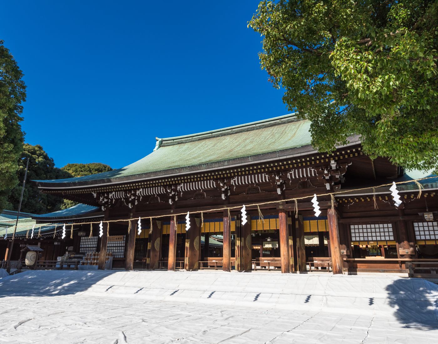 Meiji Jingu / Portal Oficial de Turismo de Tokyo GO TOKYO