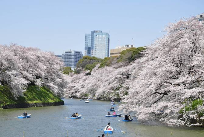 Must See in April in Tokyo | The Official Tokyo Travel Guide, GO TOKYO