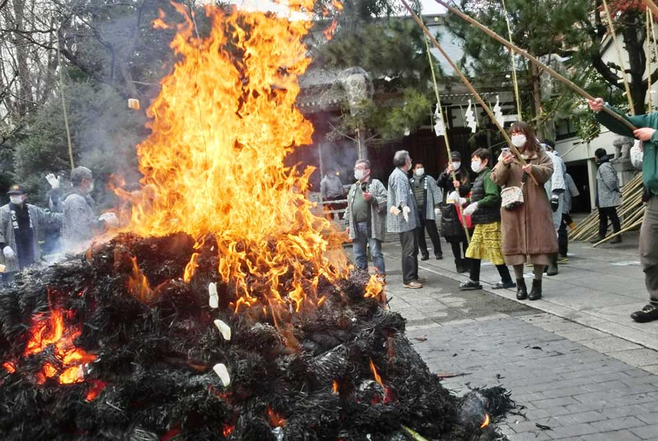 Best Things to Do and See in Tokyo in January | The Official Tokyo ...