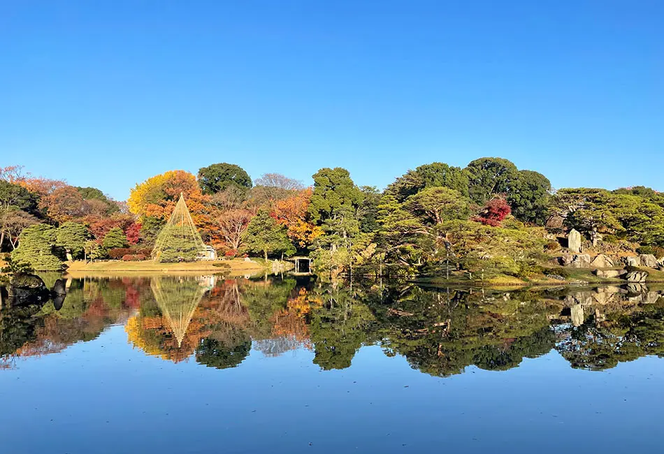 Best Things to Do and See in Tokyo in November | The Official Tokyo ...