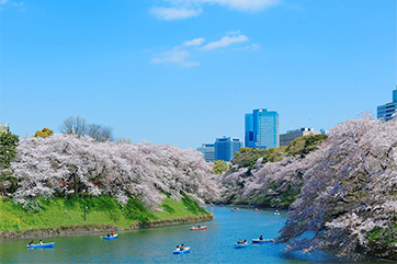 INICIO / Portal Oficial de Turismo de Tokyo GO TOKYO